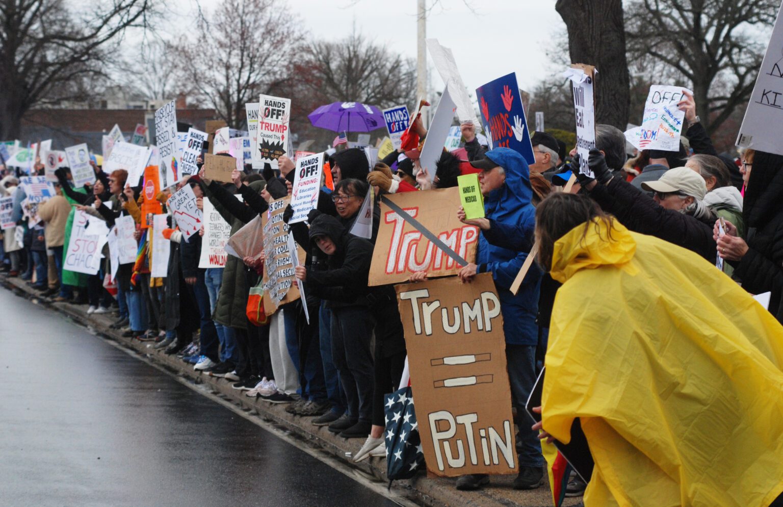 In Mineola, protesters call on Trump to keep 'hands off our democracy ...